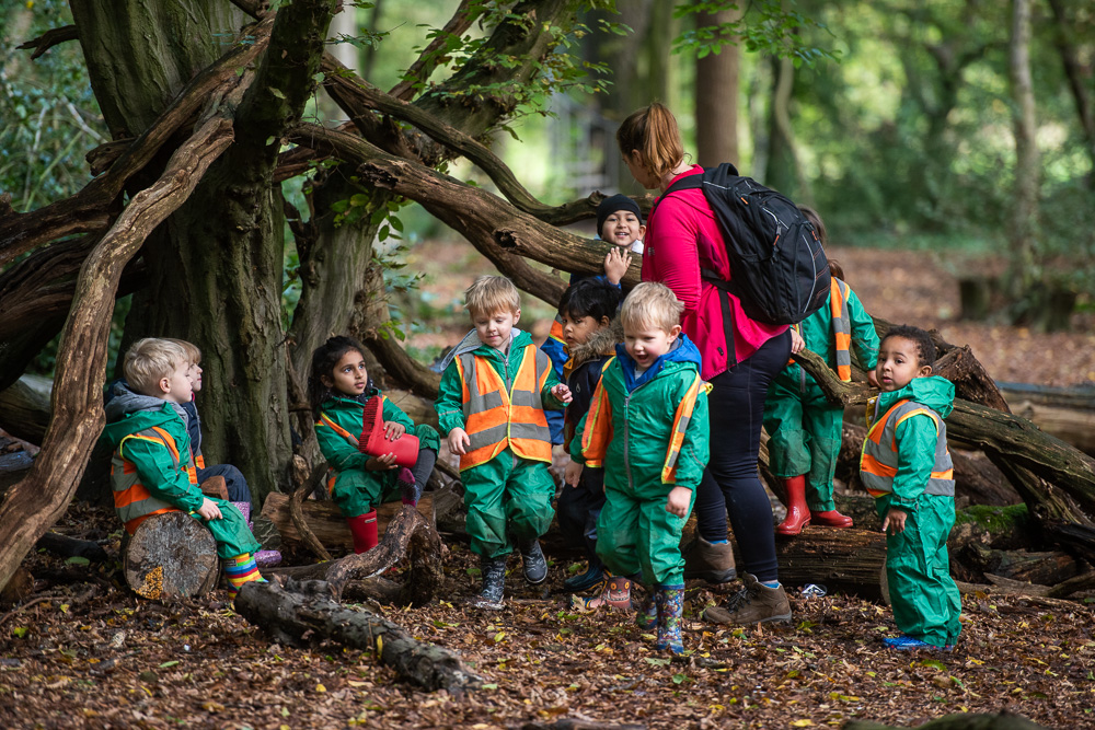Activities | Treehouse